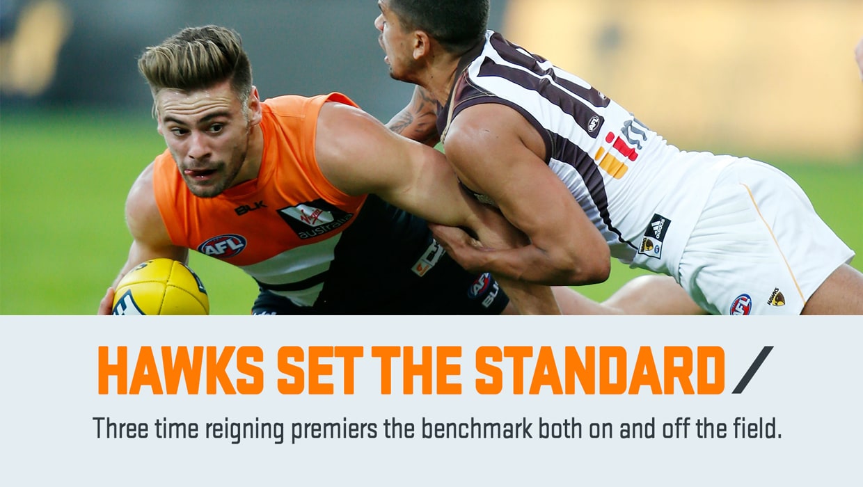 Hawks Set the Standard