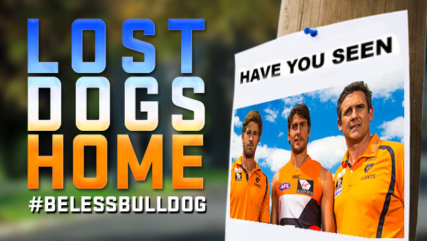 Lost Dogs Home