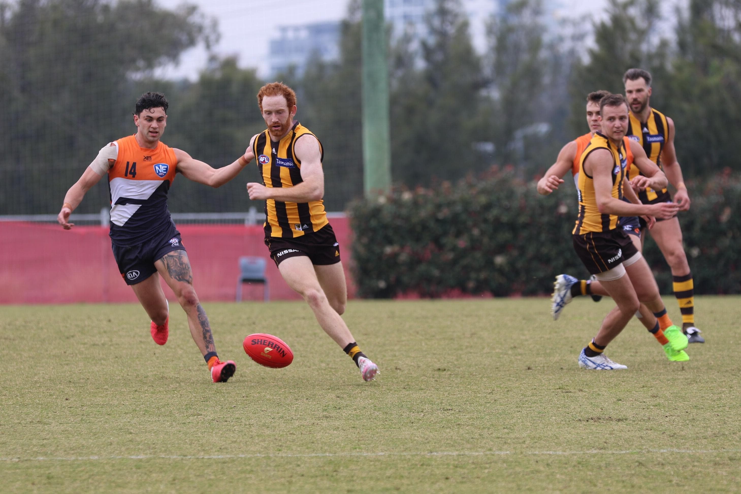GIANTS Pip Hawks in Practice Match