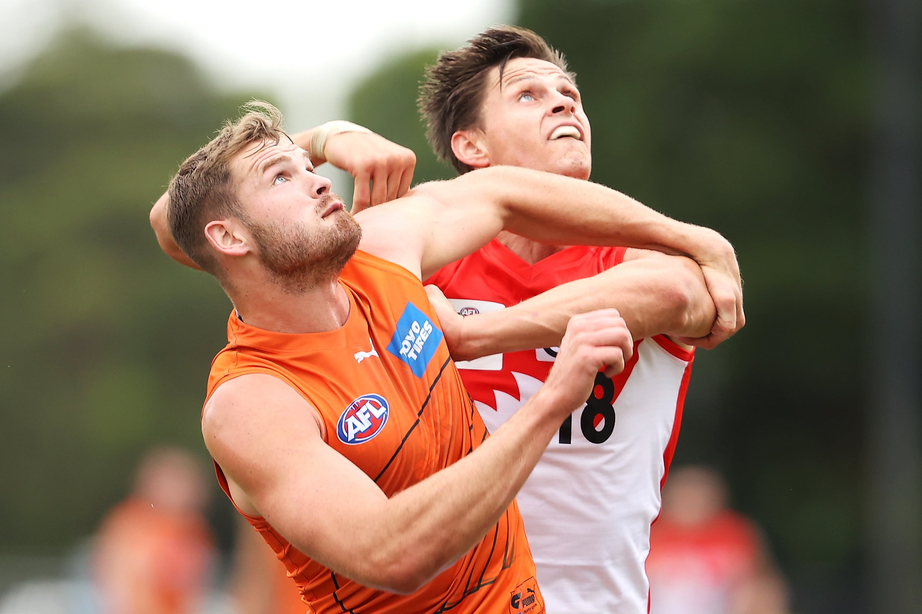 VFL Season Called Off