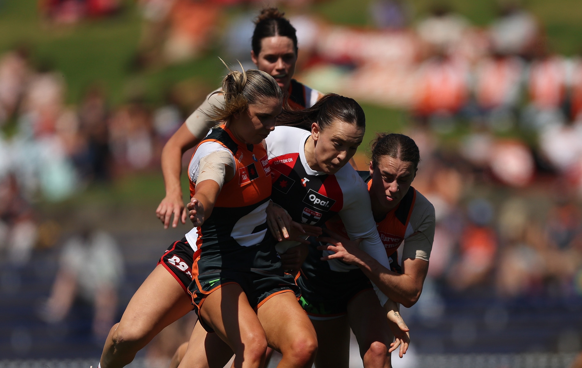 GIANTS Fall To Saints At Henson Park