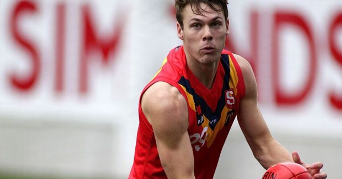 GIANT Prospects: Meet Matt Scharenberg