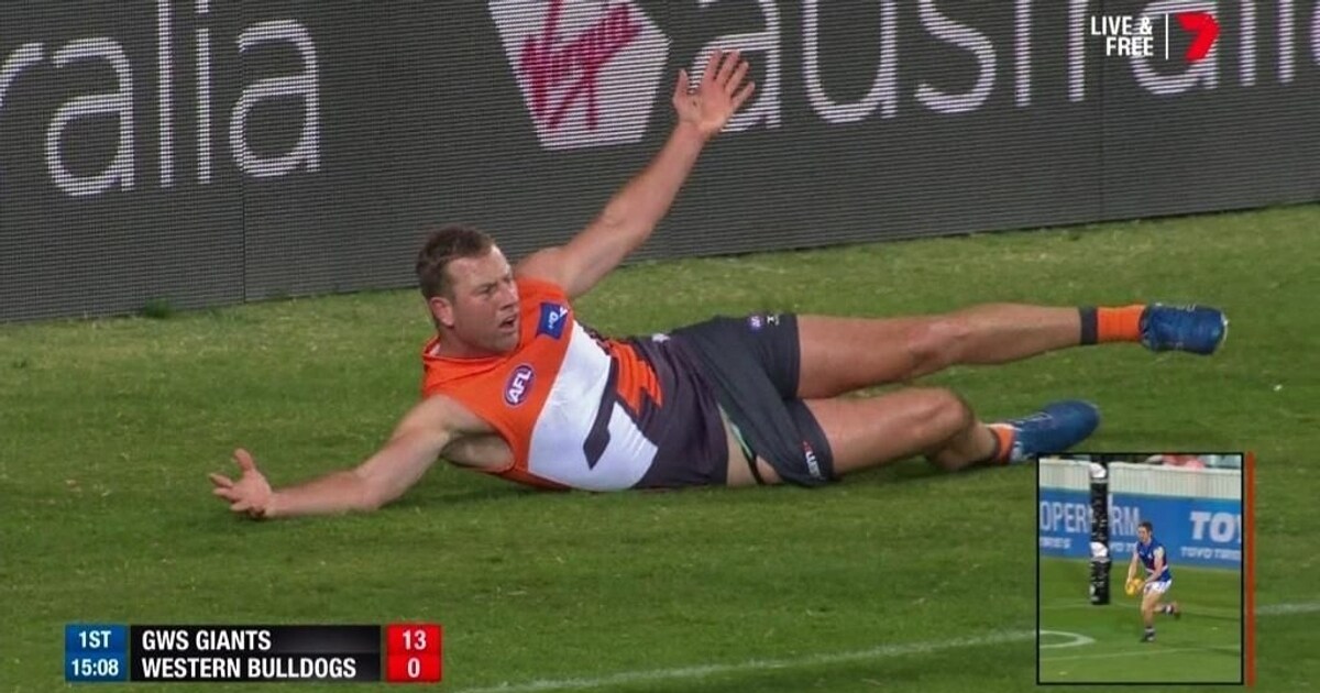 R6 v Dogs: Nice 'Try' Stevie